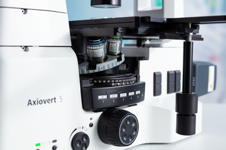 Axiovert 5 Zeiss Microscope Inversé de Biologie