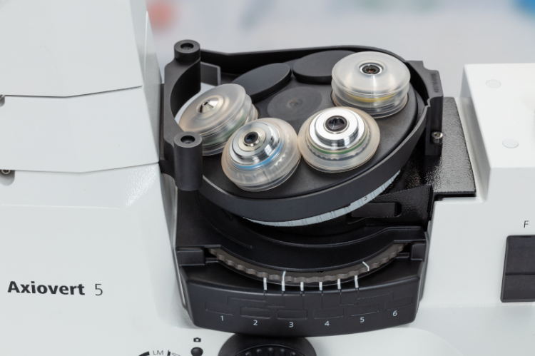 Axiovert 5 Zeiss Microscope Inversé de Biologie